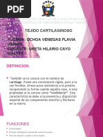 Condrogénesis y Crecimiento Del Cartílago | PDF