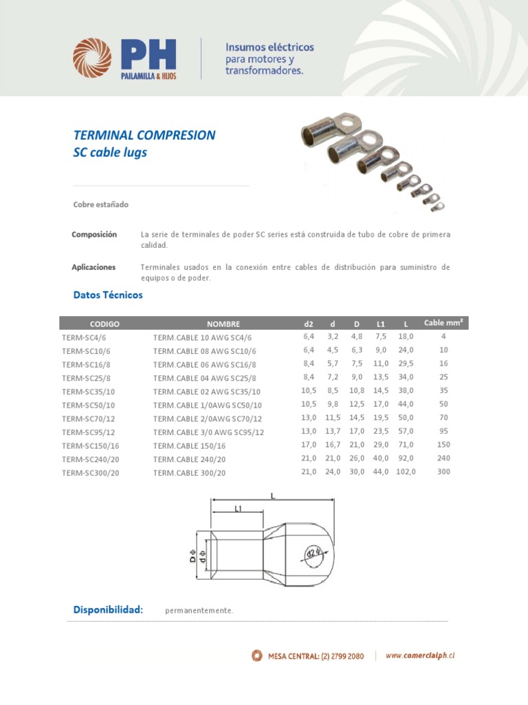 Terminales | PDF
