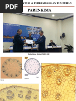 Microscopy of Fennel Fruit | PDF