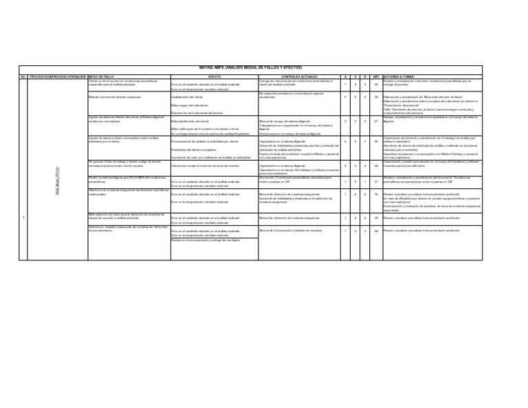 Taller 4-Ejemplo MATRIZ AMFE | PDF | Sangre | Software