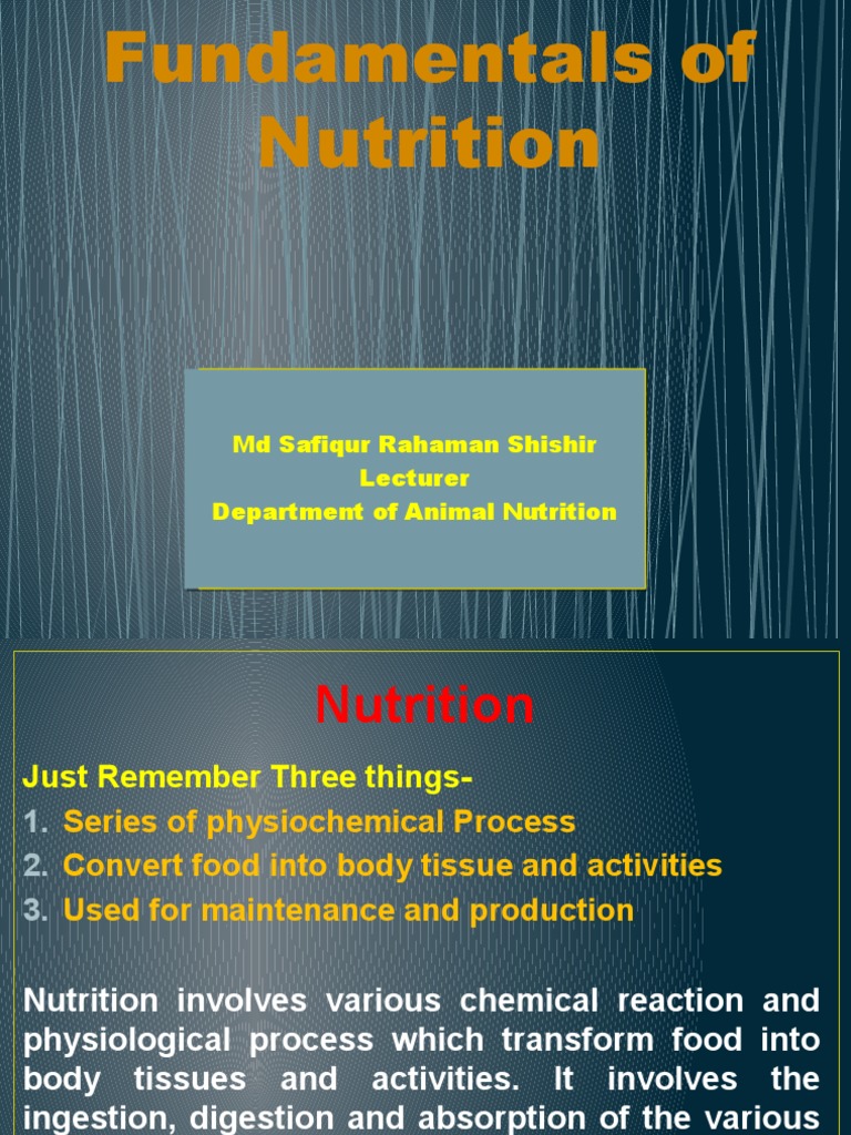 Fundamentals of Nutrition: An Overview of Nutrients, Their ...