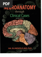 Coma Recovery Scale - Revised (CRS-R) PDF | PDF | Coma | Finger