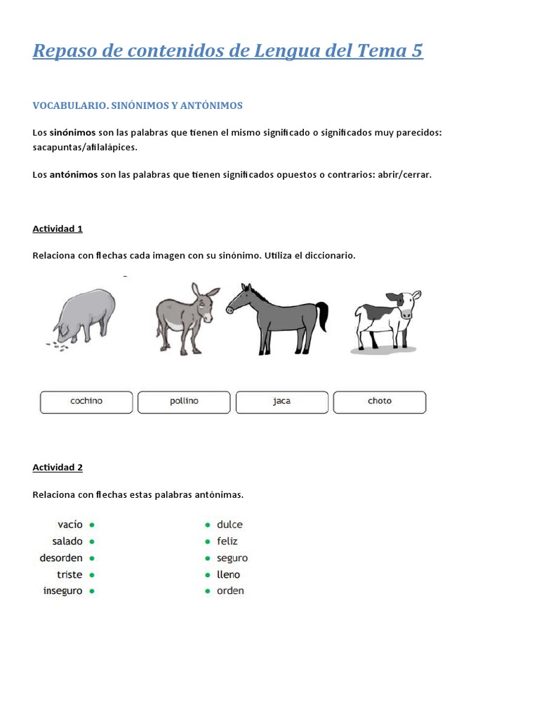 Repaso de Lengua Tema 5 | PDF | Verbo | Conjugación gramatical
