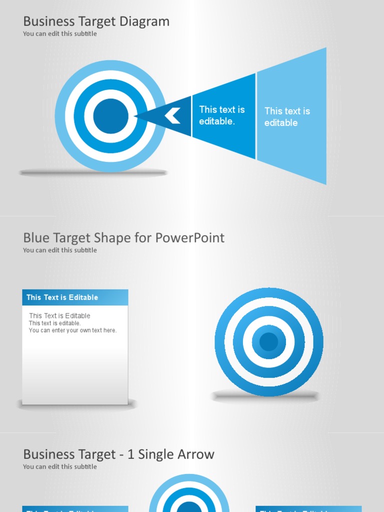 Business Target Diagram: You Can Edit This Subtitle | PDF