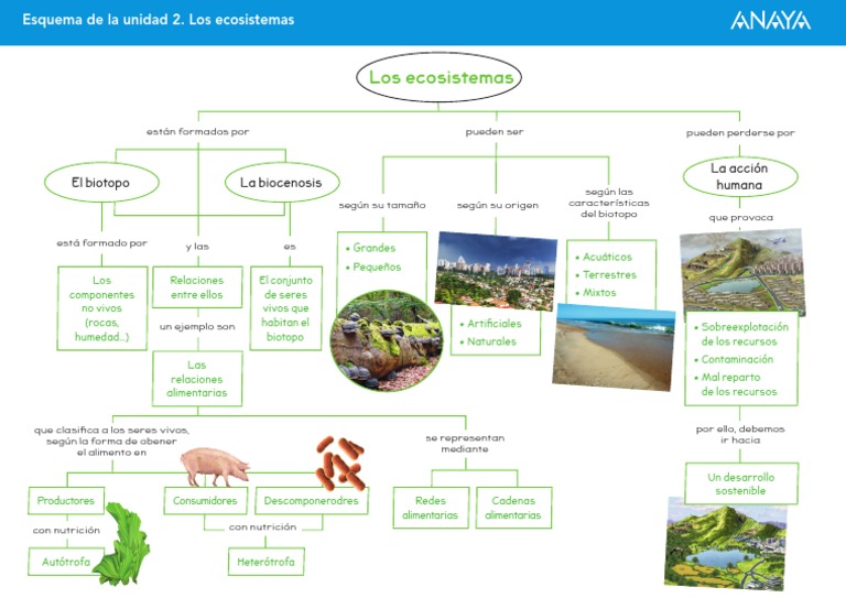 Esquema de La Unidad 2. Los Ecosistemas | PDF | Ecosistema | Ciencia ...
