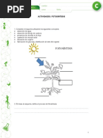 Hoja de Trabajo: Animación de Fotosíntesis | PDF | Fotosíntesis ...