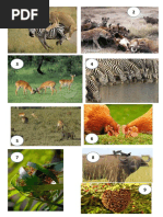 Poster Larian Riang Ria | PDF