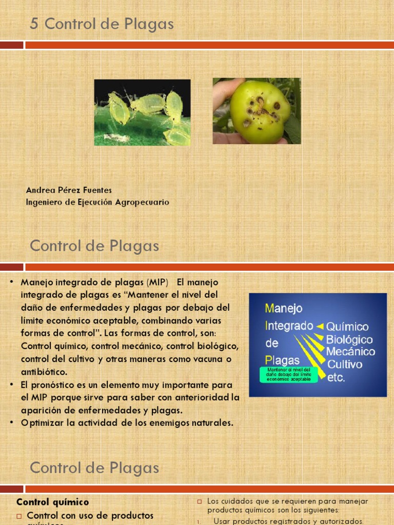 5 Control de Plagas PDF | PDF | Control biológico de plagas | Plaga (organismo)