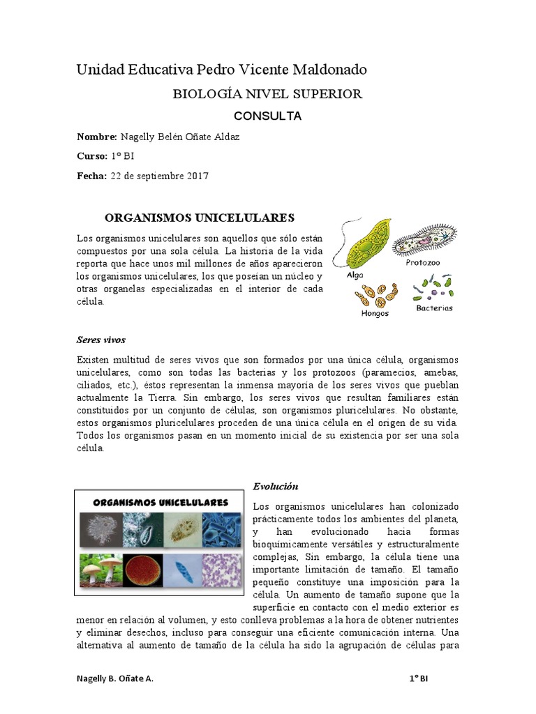 Organismos Unicelulares y Pluricelulares | PDF | Organismos | Protozoos