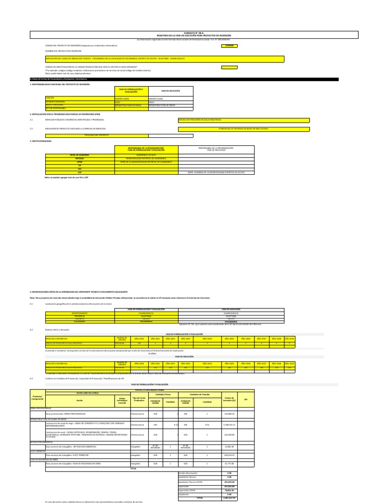 Formato 8a Actualizado Incl Covid | PDF | Valor presente neto | Riego