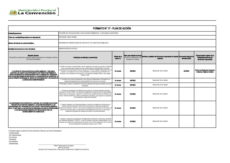 Formato 17-Plan de Accion | PDF