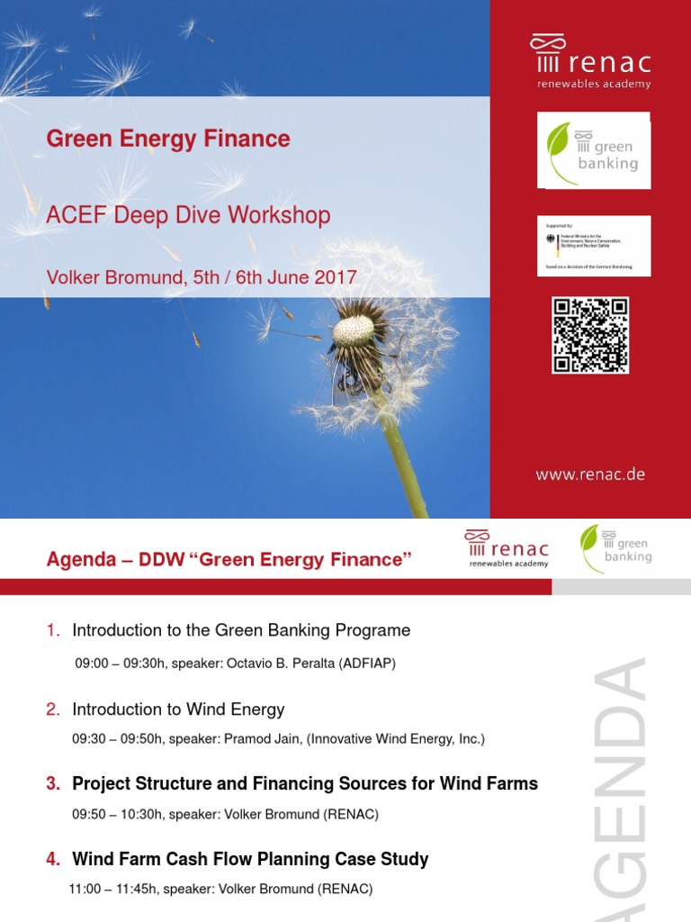 2 - Project Structure and Financing Sources For Wind Farms | PDF ...