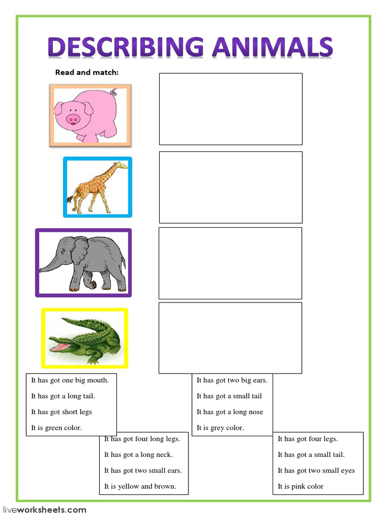 Animal Descriptions Worksheet | PDF