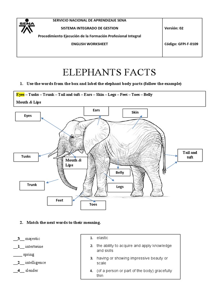 Elephants Facts: 1. Use The Words From The Box and Label The Elephant ...