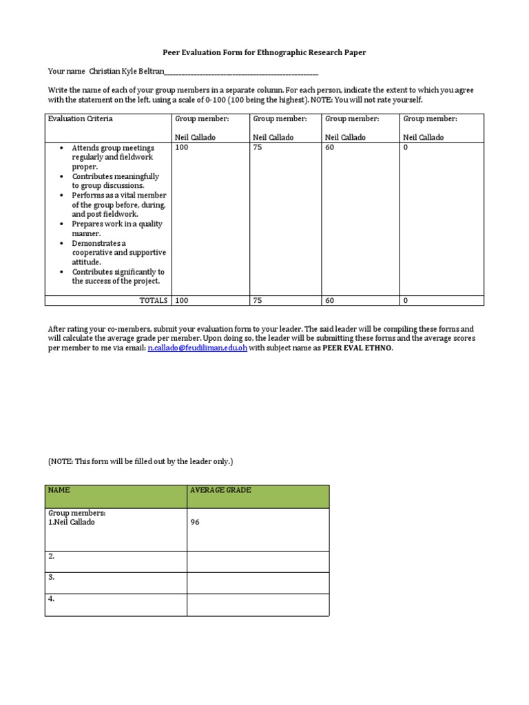 Ethnographic Research Peer Evaluation Form | PDF | Sports & Recreation ...