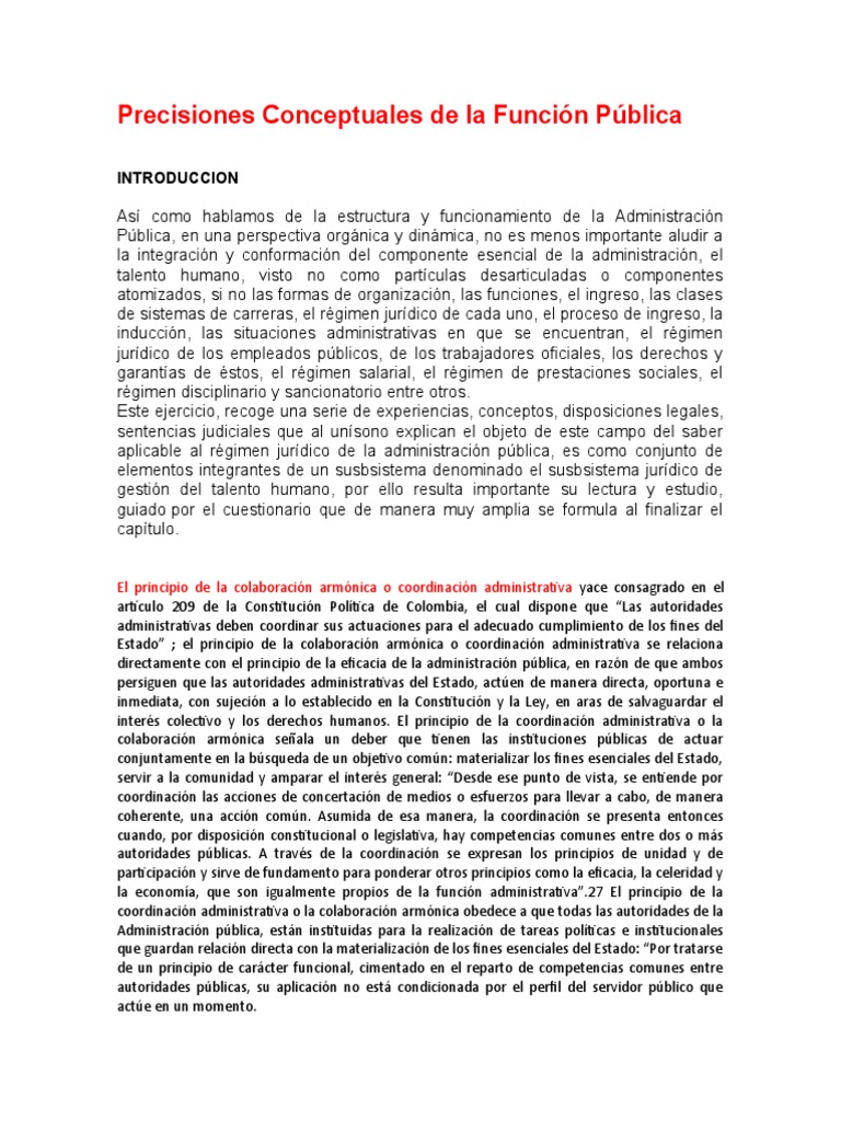 Precisiones Conceptuales De La Funci n P blica Tema 8 PDF Polic a