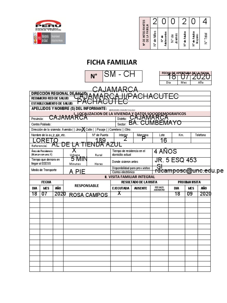 Formato de Ficha Familiar | PDF | Familia | Adultos