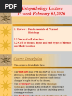 Fresh Tissue Examination | PDF | Cytopathology | Staining