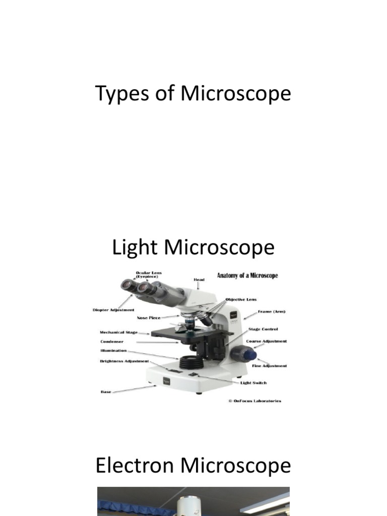 Microscope Types and Observation Techniques | PDF | Staining | Fixation ...