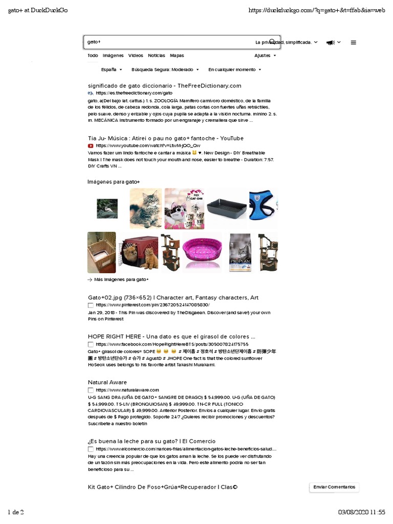 Gato+ at DuckDuckGo | PDF | Business