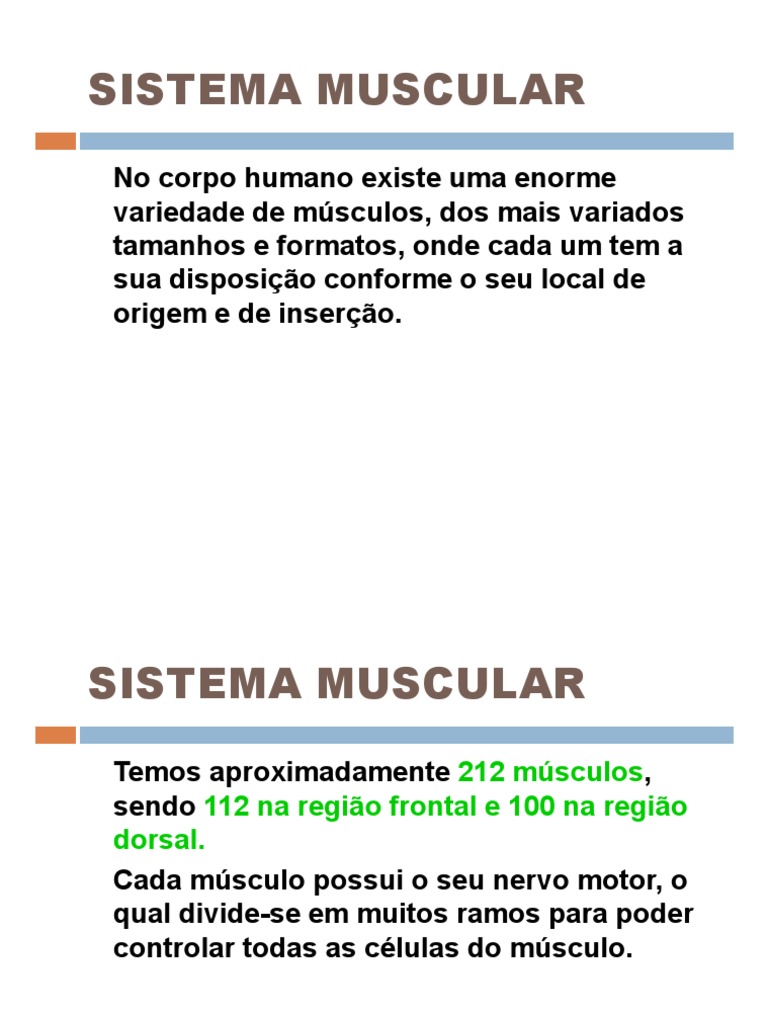 Siatema Muscular | PDF | Músculo | Anatomia