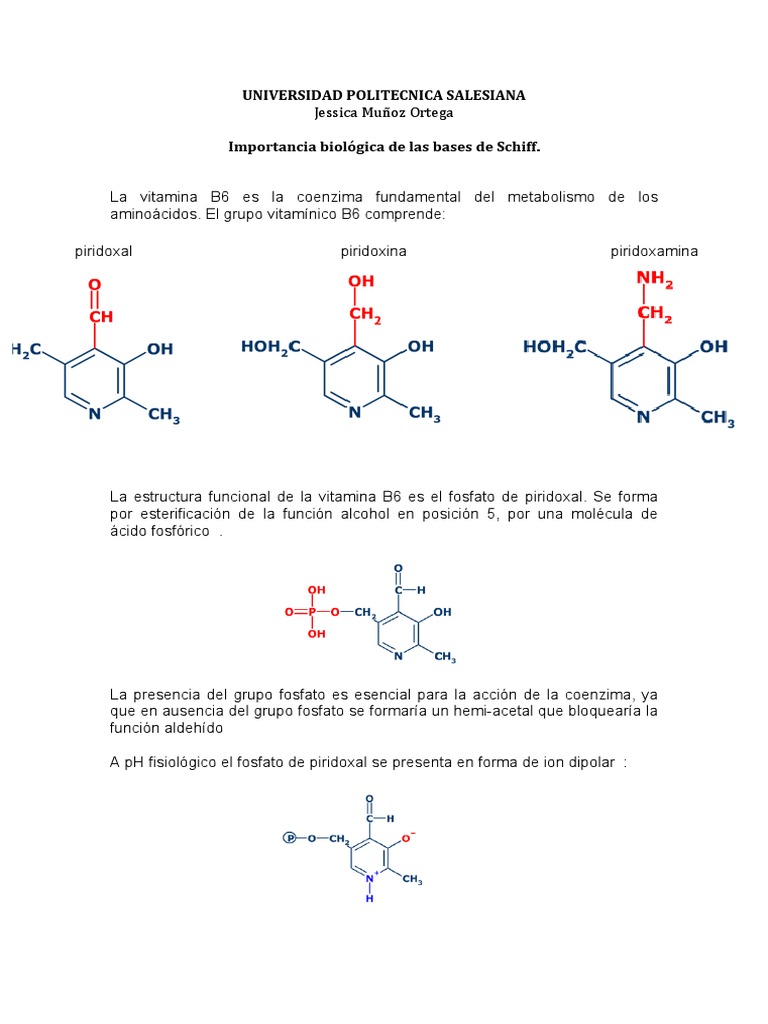 Bases de Schiff | PDF | Química Orgánica | Química