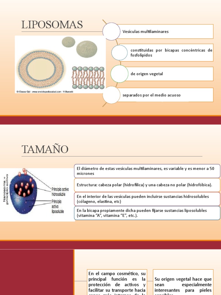 Liposomas | PDF | Tecnología