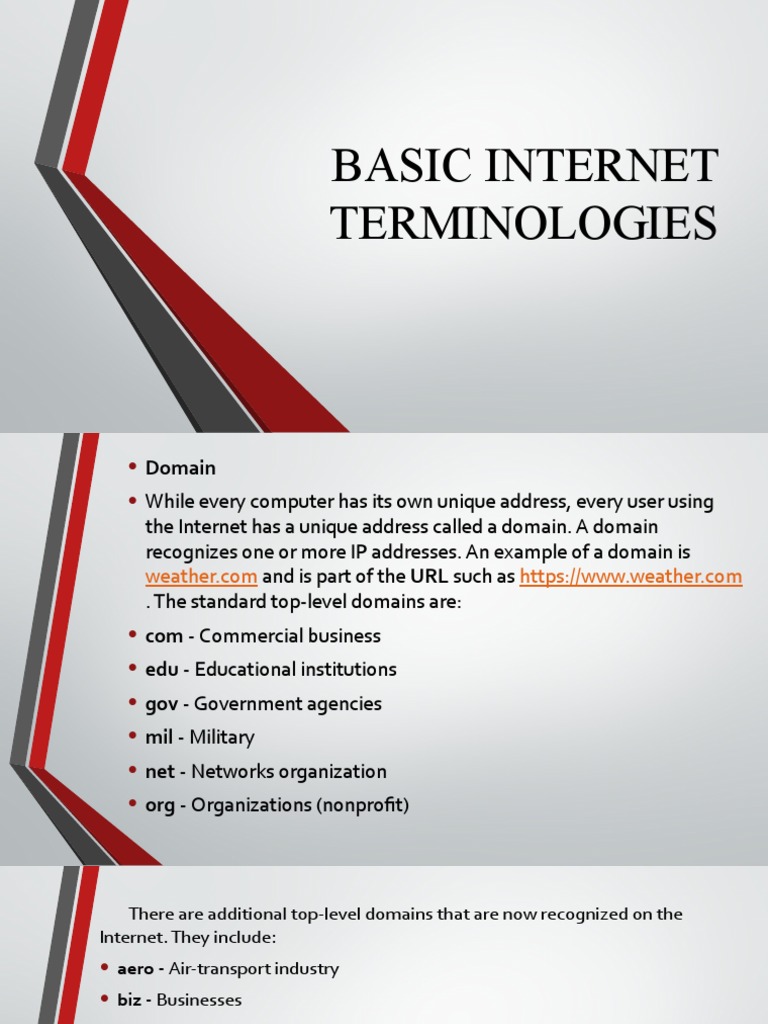 Basic Internet Terminologies | PDF | World Wide Web | Internet & Web