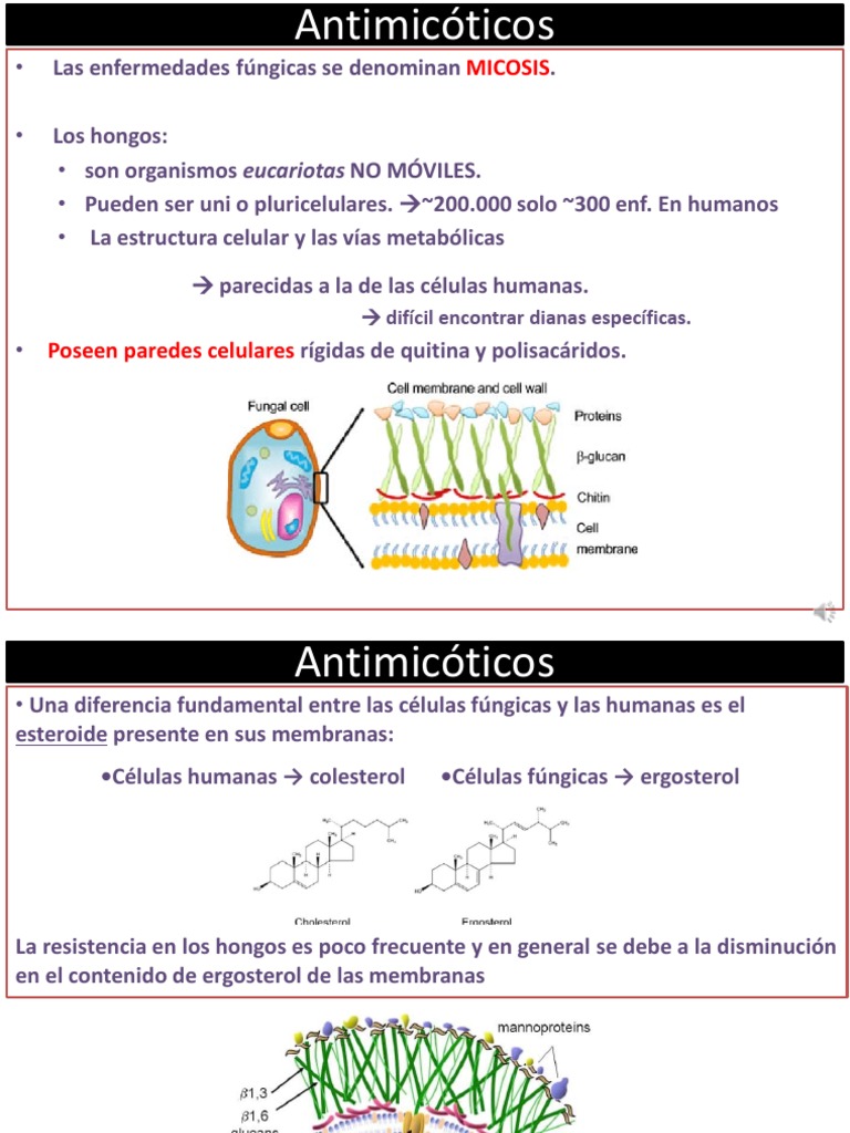 Antifungicos 2020 | PDF | Especialidades Medicas | Farmacología