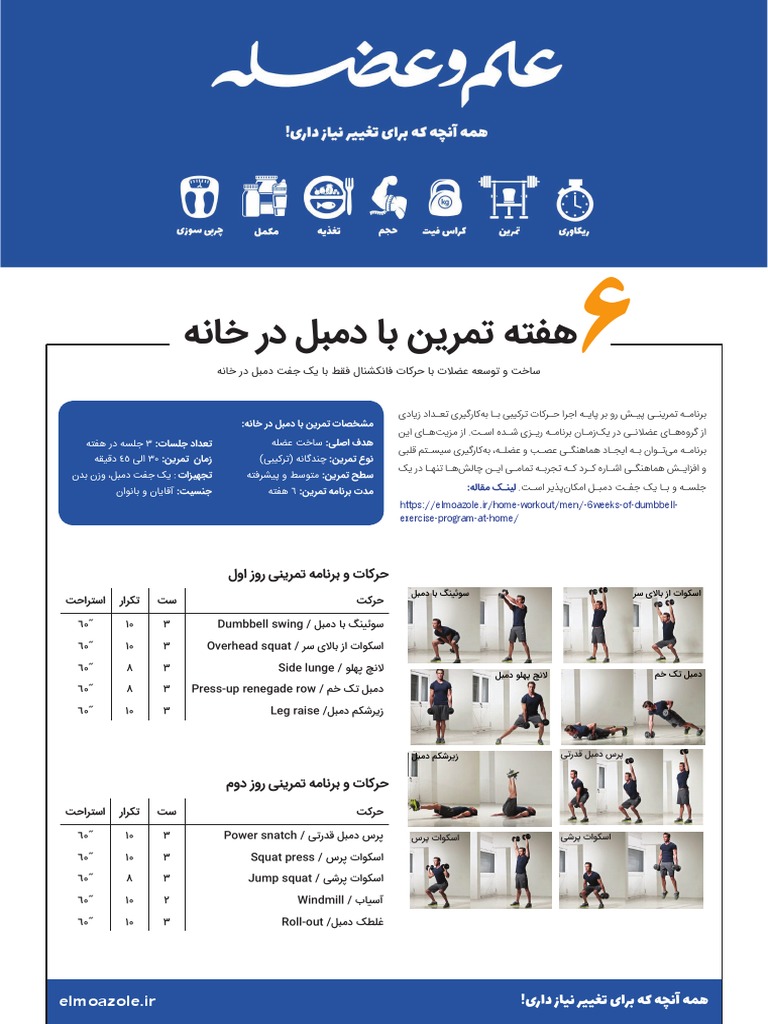 6 Weeks of Dumbbell Exercise Program at Home PDF | PDF