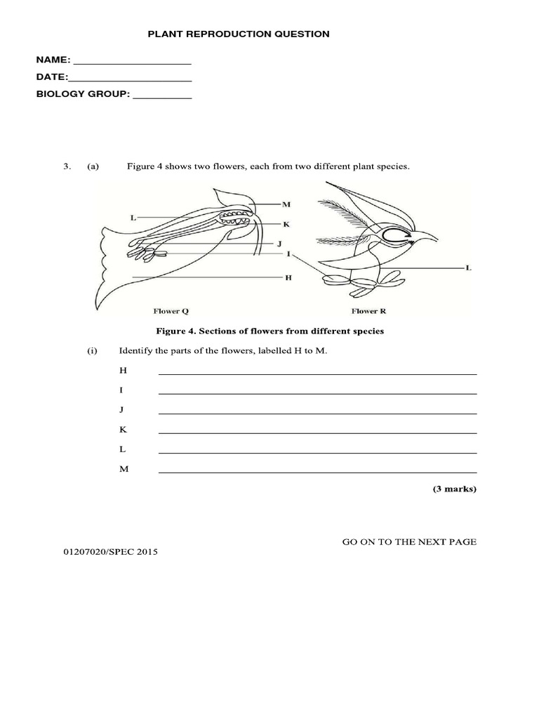 Csec Question Plant Reproduction PDF | PDF | Wellness | Science ...