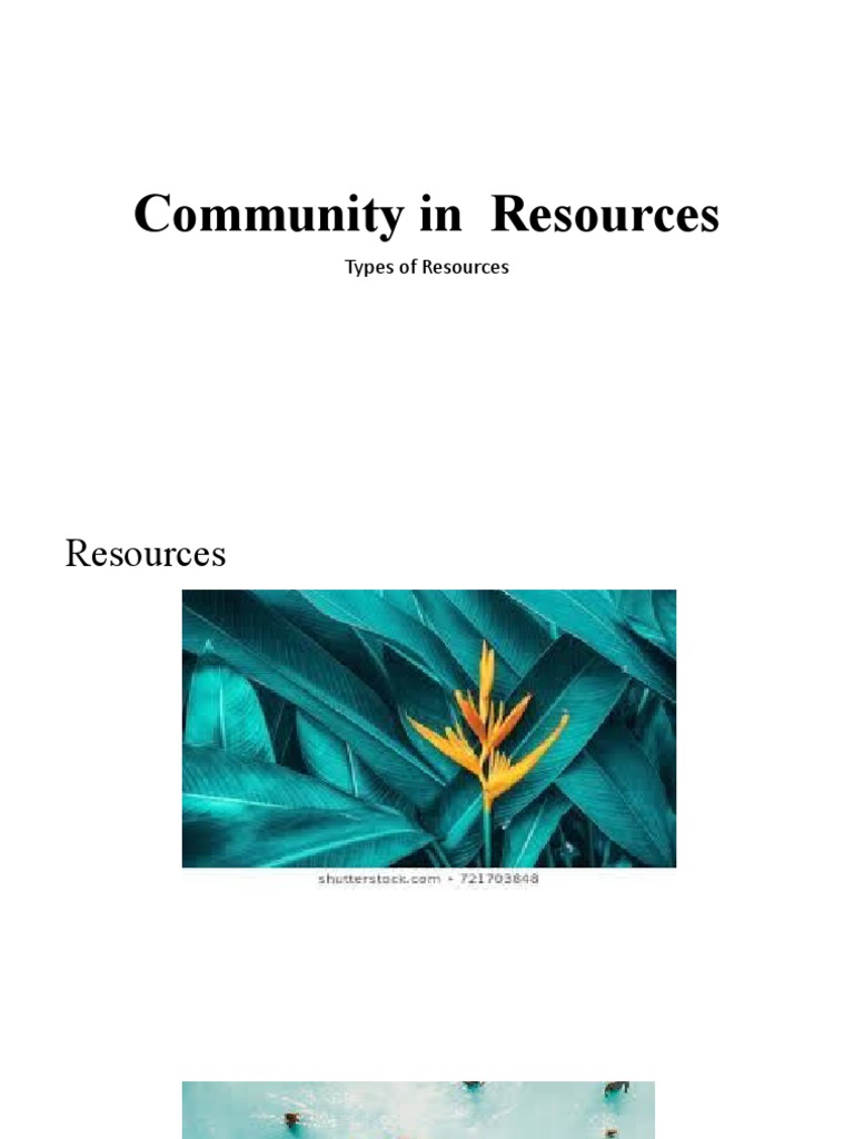 Community Resources | PDF