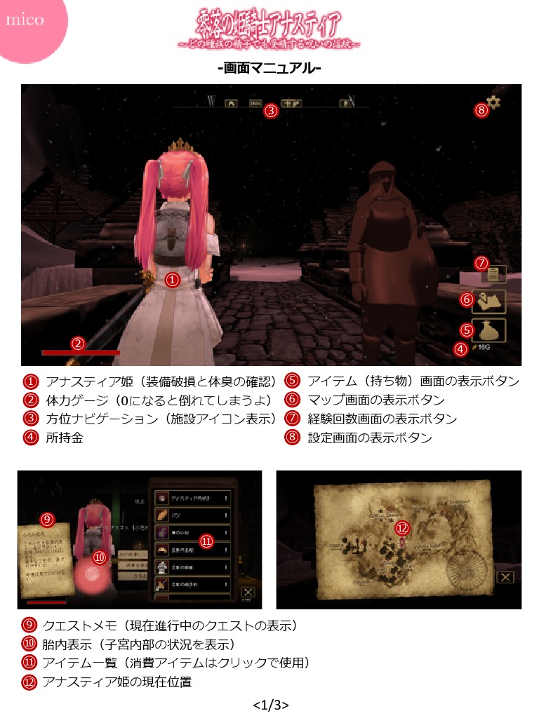 FallenPrincessKnight - Manual - JP | PDF