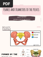 Maternal Pelvic Dimensions in Labour | PDF | Pelvis | Childbirth