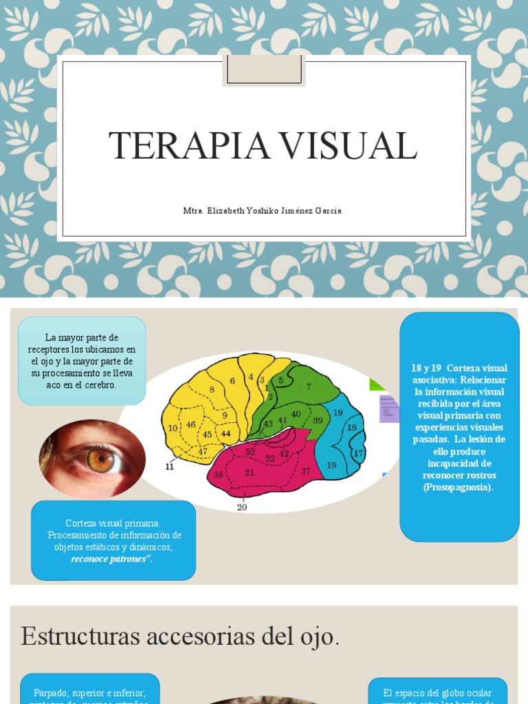Terapia Visual 1 | PDF | Ojo humano | Percepción visual