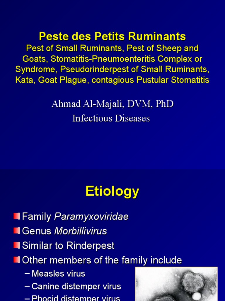 Peste des Petits Ruminants: A Highly Contagious and Devastating Disease ...