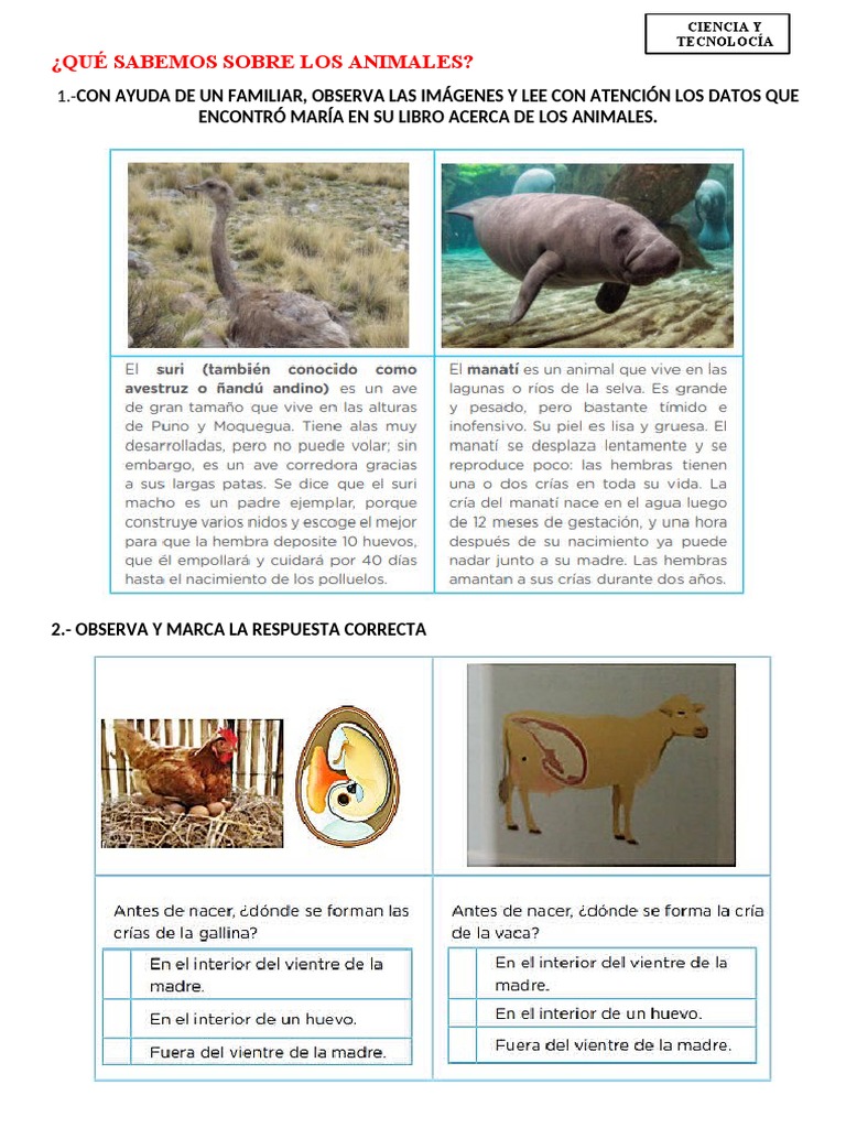Animales: Ovíparos y Vivíparos | PDF | Hogar, jardinería y bricolaje ...