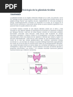 HISTOLOGÍA DE LA TIROIDES, Paratiroides y Suprarrenales | PDF | Glucocorticoides | Glándula ...