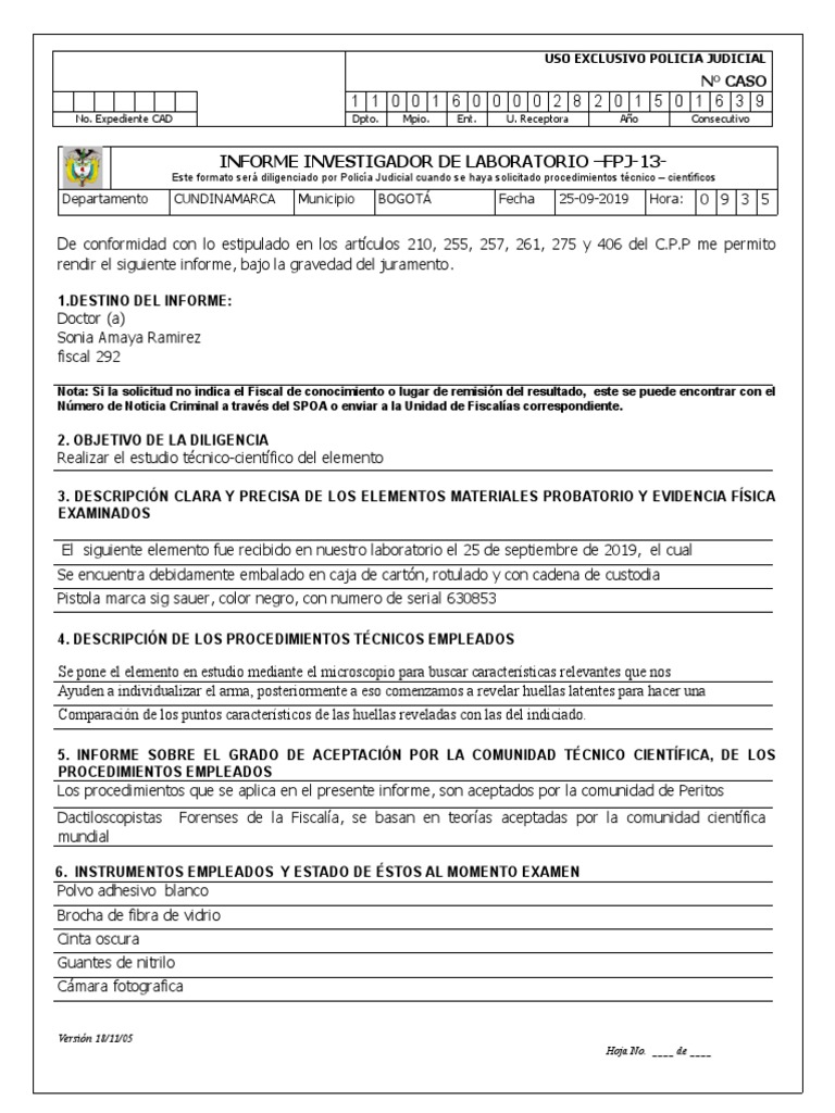 Formatos De Fiscalia Pdf Science Policía
