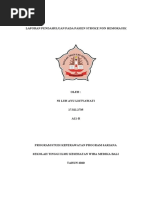Laporan Pendahuluan Stroke Non Hemoragik | PDF
