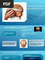 Macro y Microcefalia | PDF | Desorden congenito | Epidemiología
