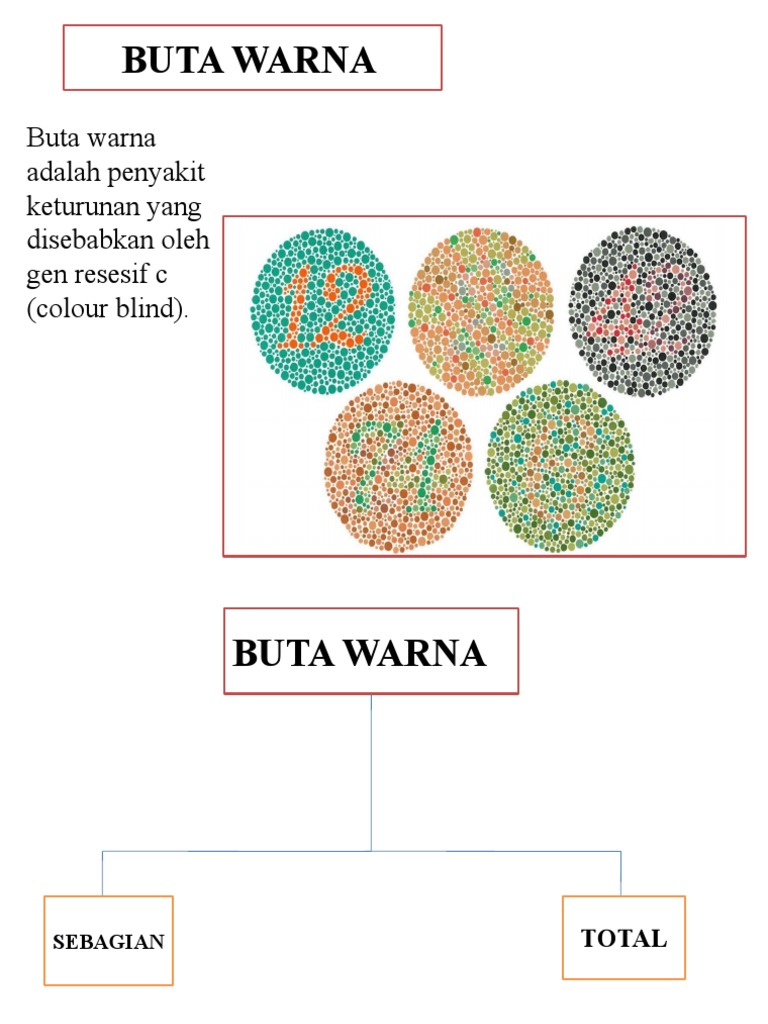 Penyakit Genetik: Buta Warna & Hemofilia | PDF