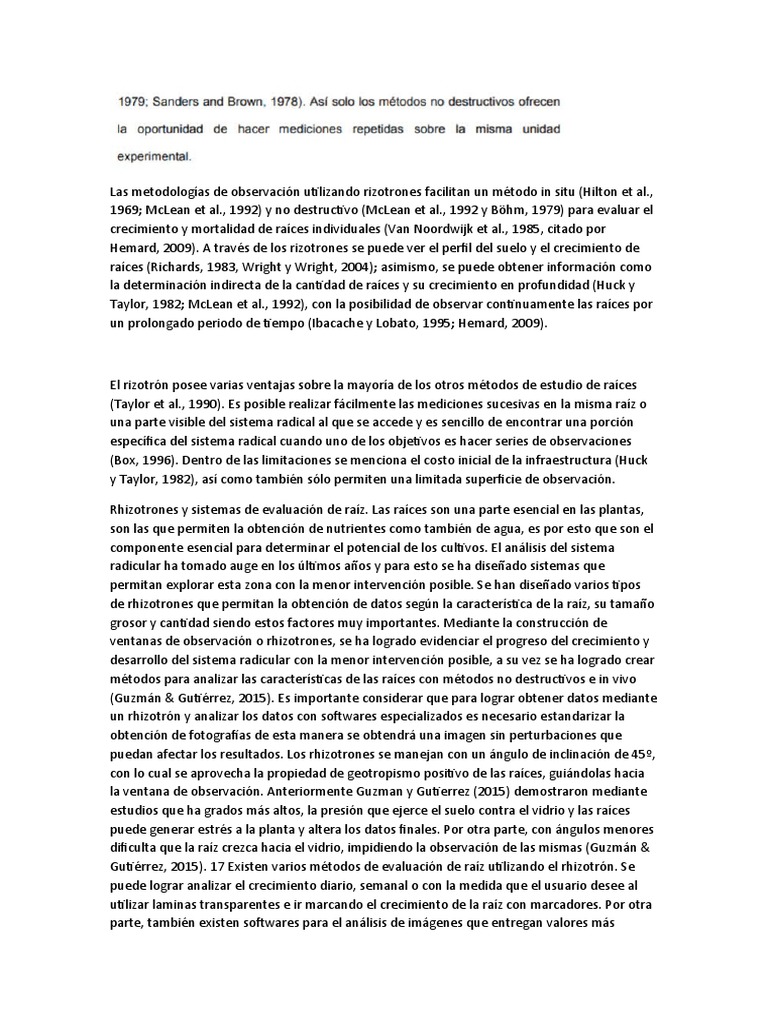 De Rizotron | PDF | Madera | Raíz