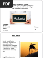 CAPÍTULO 17 - Prurigo Por Insectos (Cimiciasis) | PDF | Insecticida ...