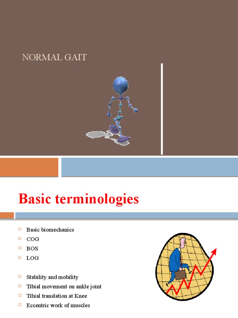 Normal Gait: Biomechanics & Phases | PDF | Anatomical Terms Of Motion ...