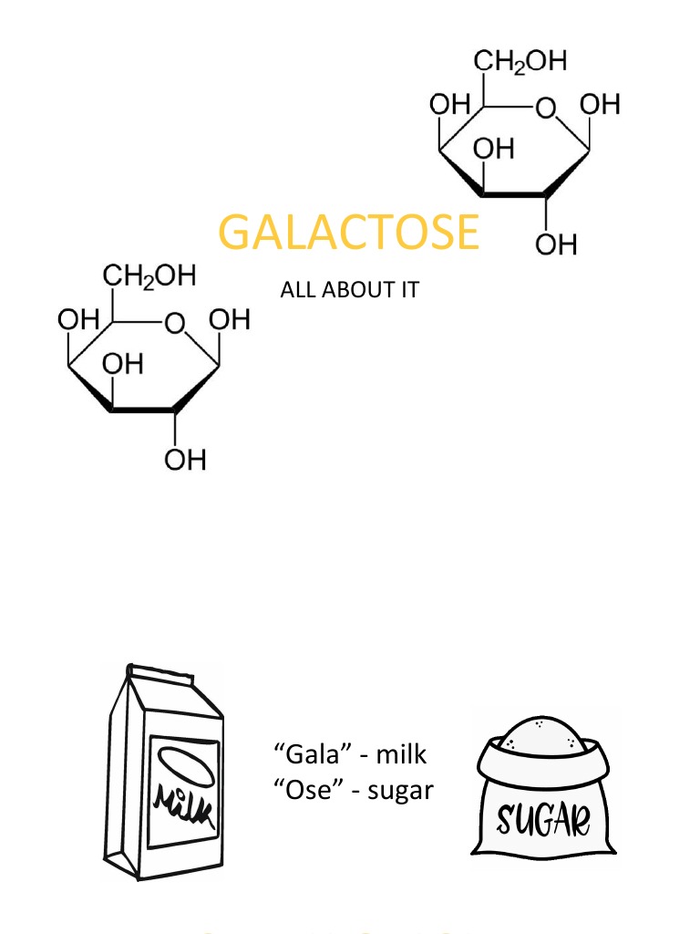 Galactose: All About It | PDF