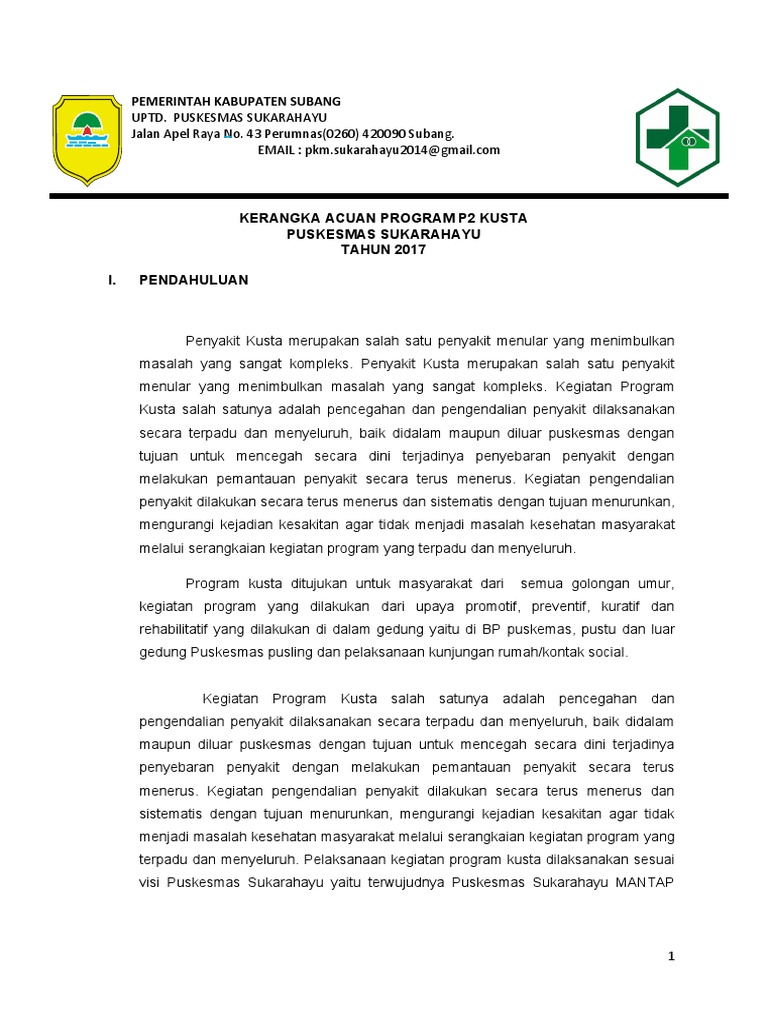 Program P2 Kusta Puskesmas 2017 | PDF