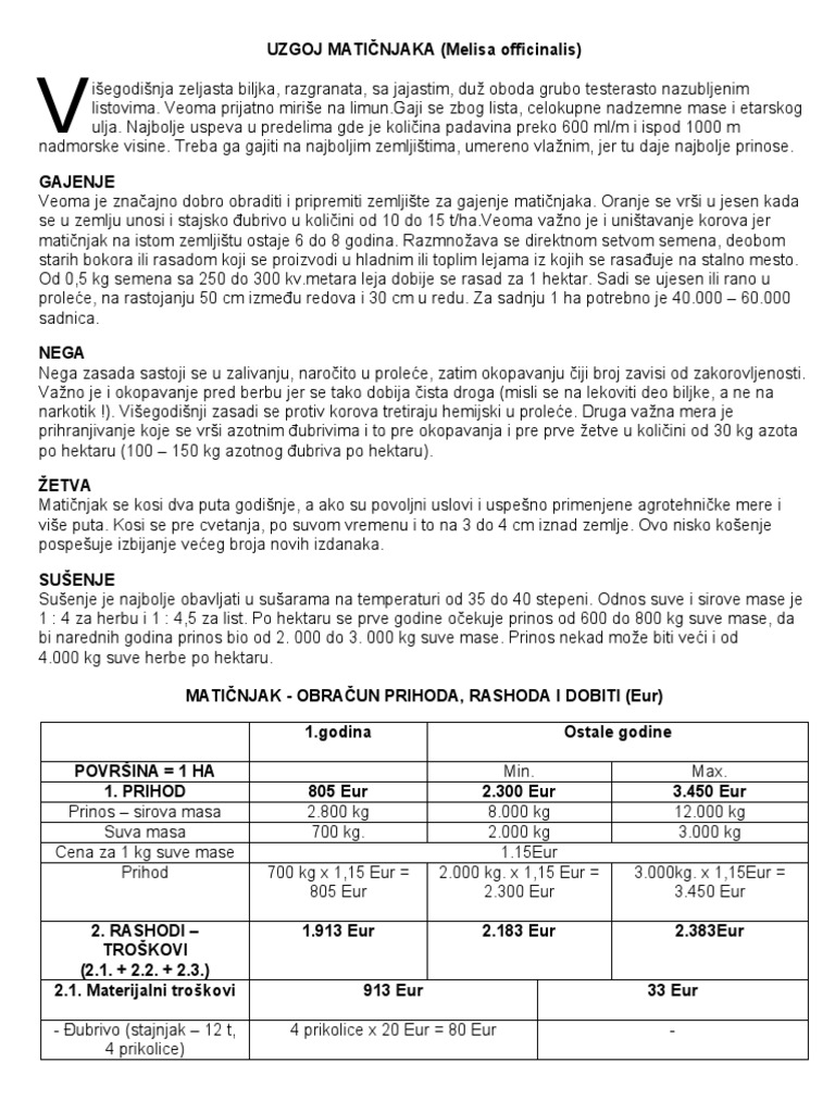 Biznis Ideja 21 - Gajenje Maticnjaka | PDF