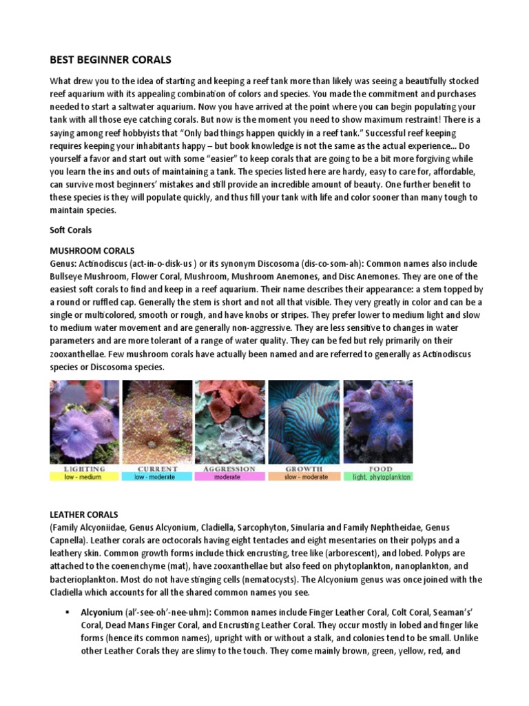 Best Beginner Corals | PDF | Coral | Aquarium