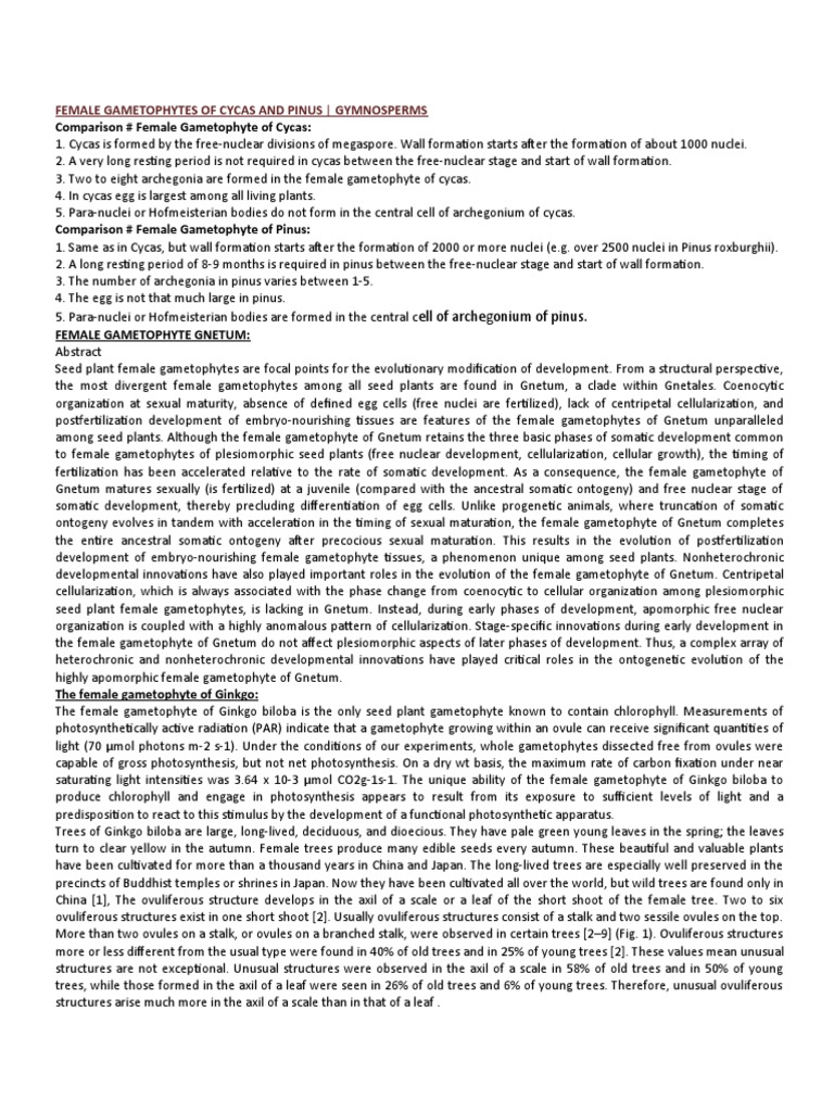 Female Gametophytes: Cycas vs. Pinus | PDF | Cyanobacteria | Root